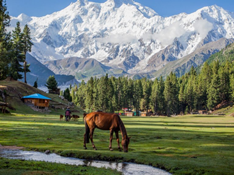 Hunza Valley – The Scent of Beauty and Pleasure - Dream Vista Travel